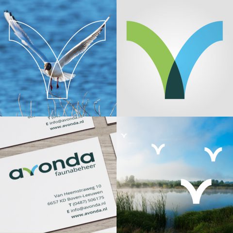Avonda_branding | Enjoy Branding