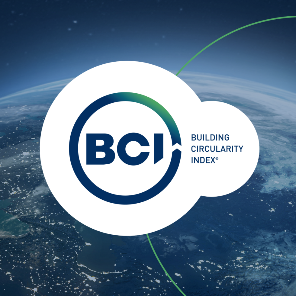 BCI logo | Enjoy Branding